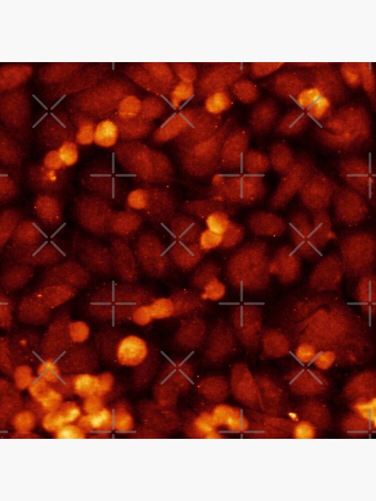 "Neon orange fluorescent cell art" Poster for Sale by ArtByScience ...