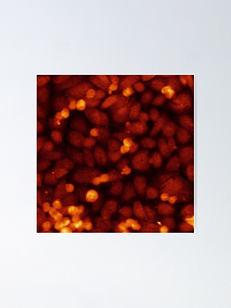 "Neon orange fluorescent cell art" Poster for Sale by ArtByScience ...