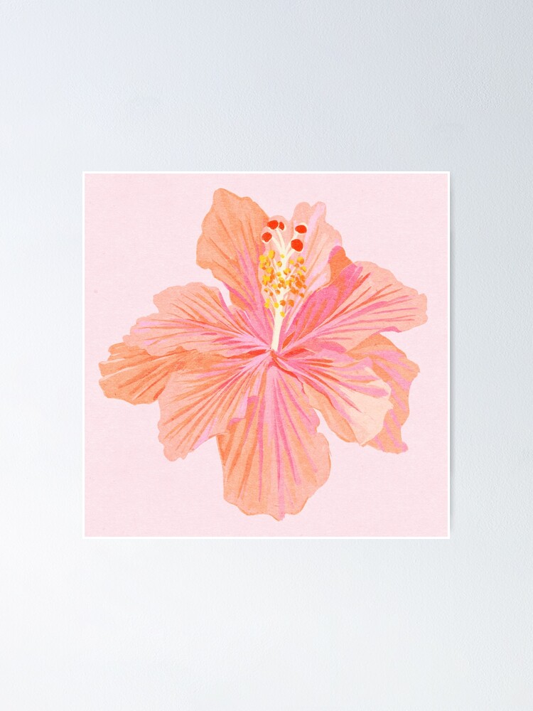 "Hibiscus Flower" Poster for Sale by sunleeart | Redbubble