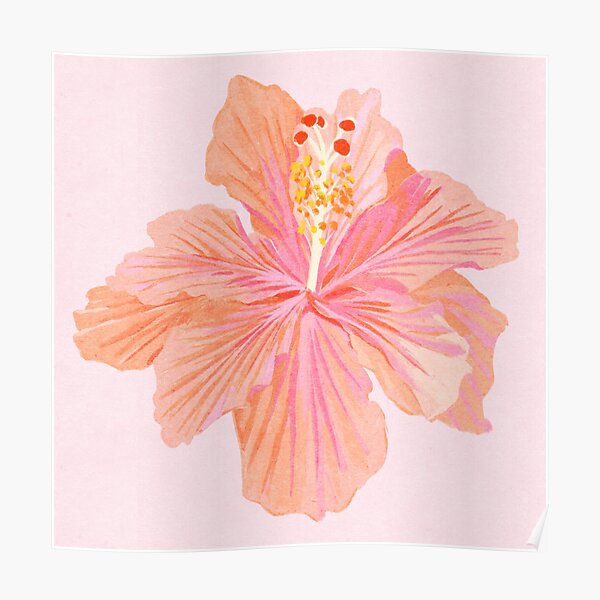 "Hibiscus Flower" Poster for Sale by sunleeart | Redbubble