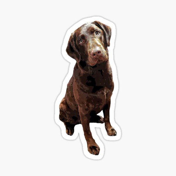 "Labrador Chocolate Lab " Sticker for Sale by ElegantCat | Redbubble