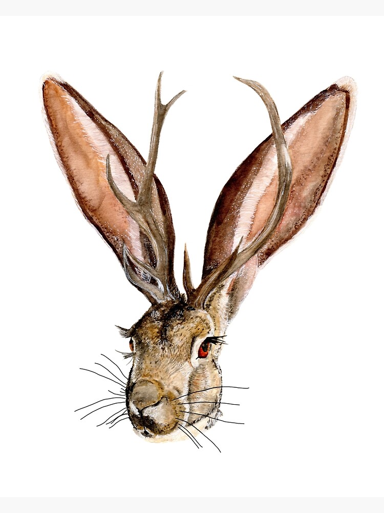 "Jackalope" Poster by VimandVerve | Redbubble
