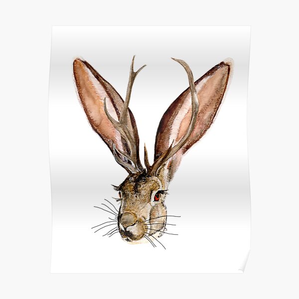 "Jackalope" Poster by VimandVerve | Redbubble