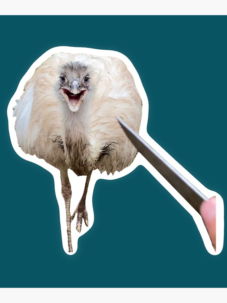 "Kevin the Rhea " Poster for Sale by AbyssShop | Redbubble
