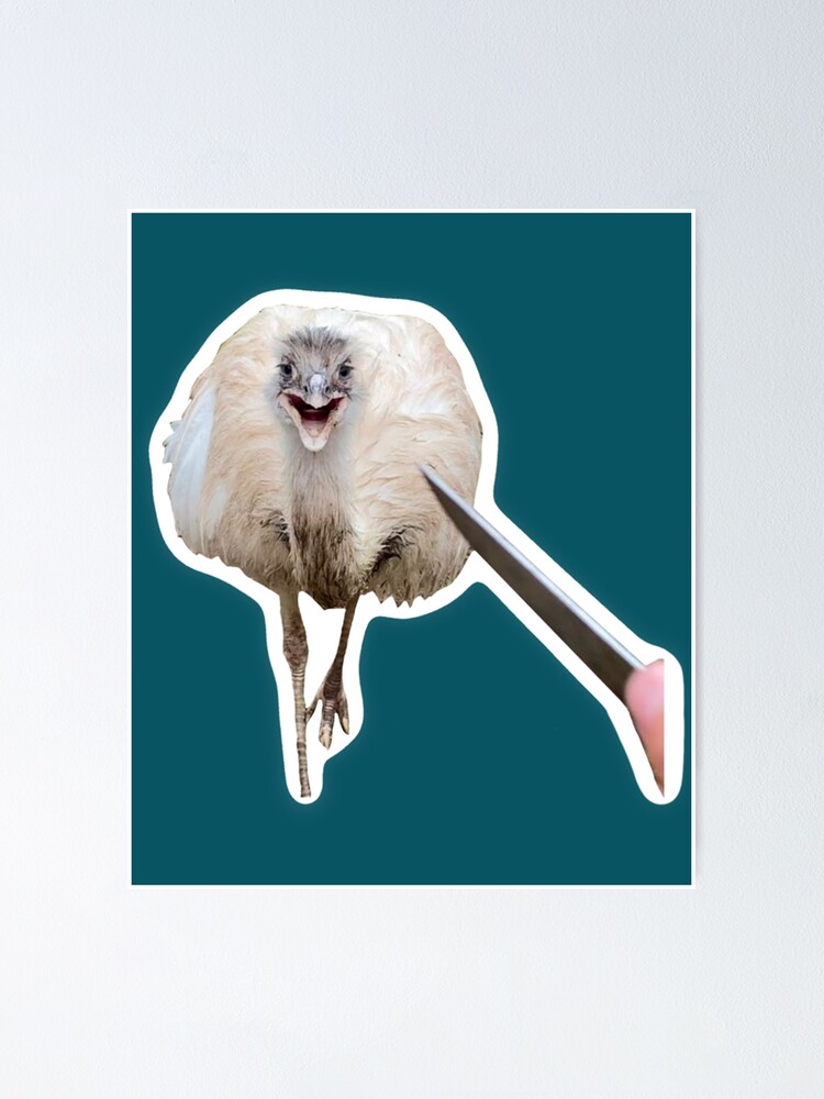 "Kevin the Rhea " Poster for Sale by AbyssShop | Redbubble