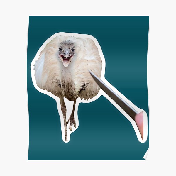 "Kevin the Rhea " Poster for Sale by AbyssShop | Redbubble