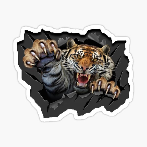 "Angry Tiger Attack" Sticker for Sale by hazaraart | Redbubble