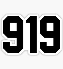 Raleigh: Stickers | Redbubble