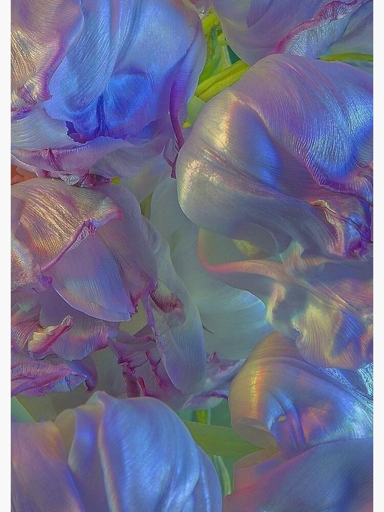 "Elemental Flower Art" Poster for Sale by noiramcreates | Redbubble