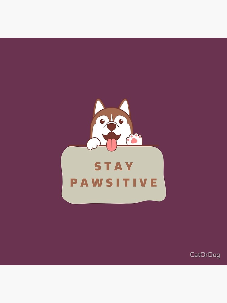 "Stay pawsitive" Poster for Sale by CatOrDog | Redbubble