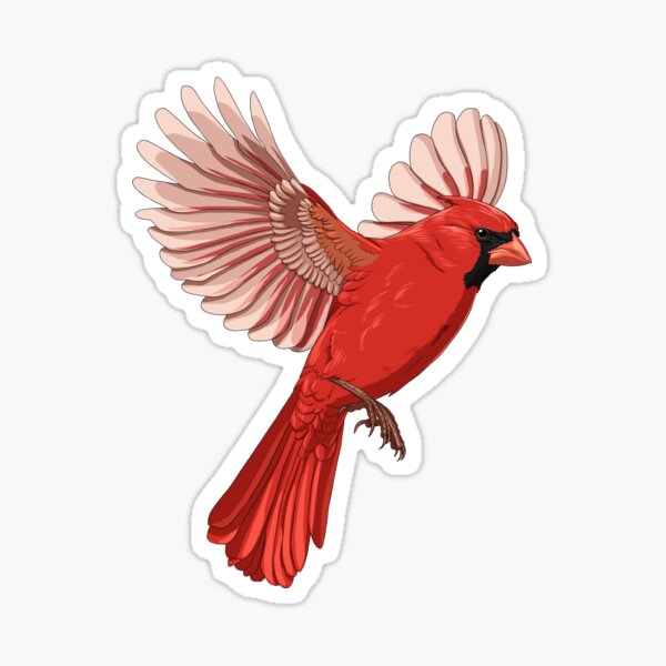 "Flying Bird Northern Cardinal" Sticker for Sale by alwe-designs ...