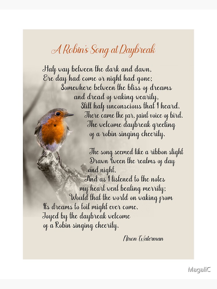 "A Robin’s Song at Daybreak - Poem of Nixon Waterman " Sticker for Sale ...