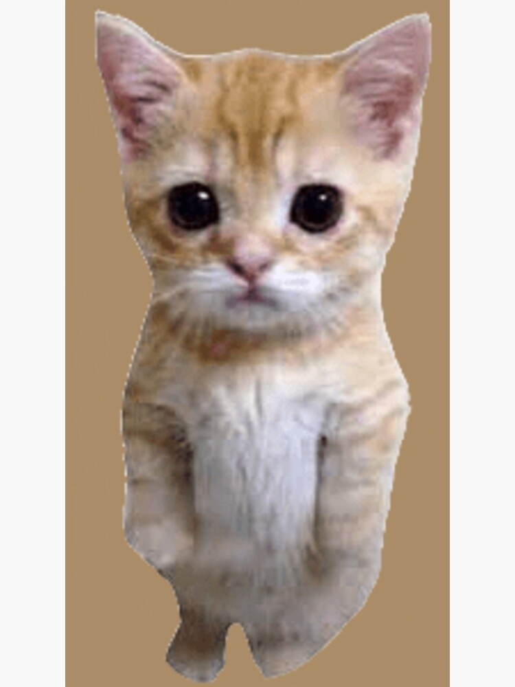 "el gato" Poster for Sale by LioRag | Redbubble