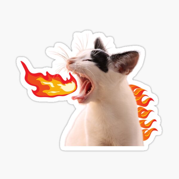 "Catzilla, Cat Spitting Fire" Sticker for Sale by Moremonclub | Redbubble
