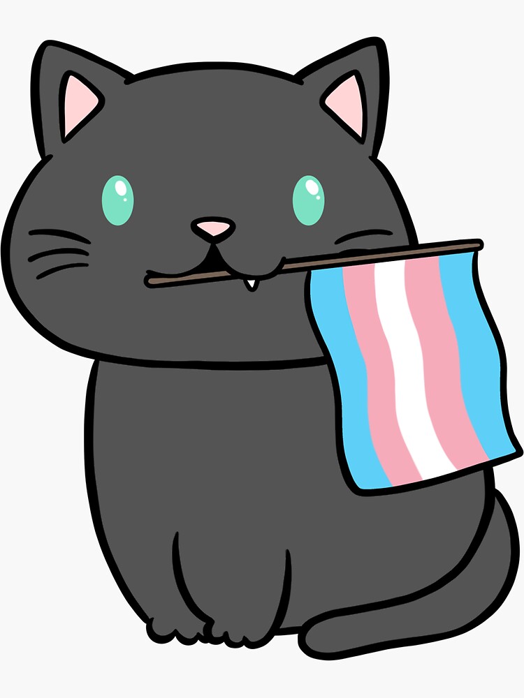 "Cat transgender Flag, Cat Themed Pride Gift, Russian Blue Cat trans ...