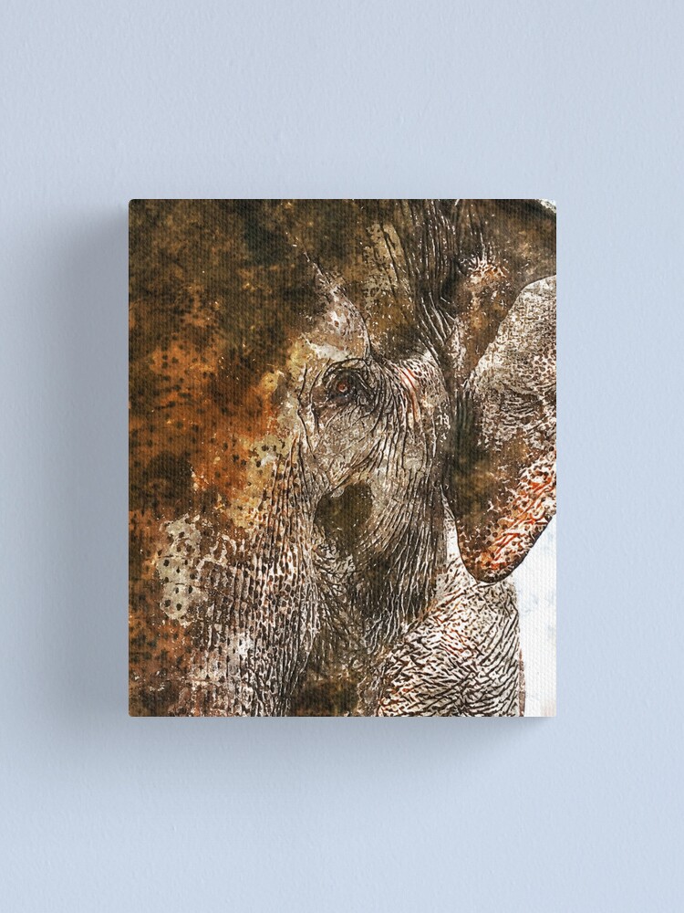 "Watercolor Asian Elephant Elephas Maximus Painting, Elephas Maximus ...
