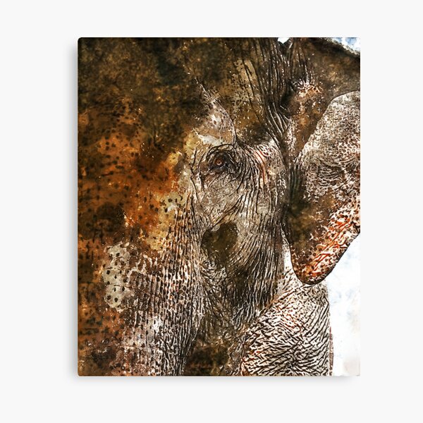 "Watercolor Asian Elephant Elephas Maximus Painting, Elephas Maximus ...