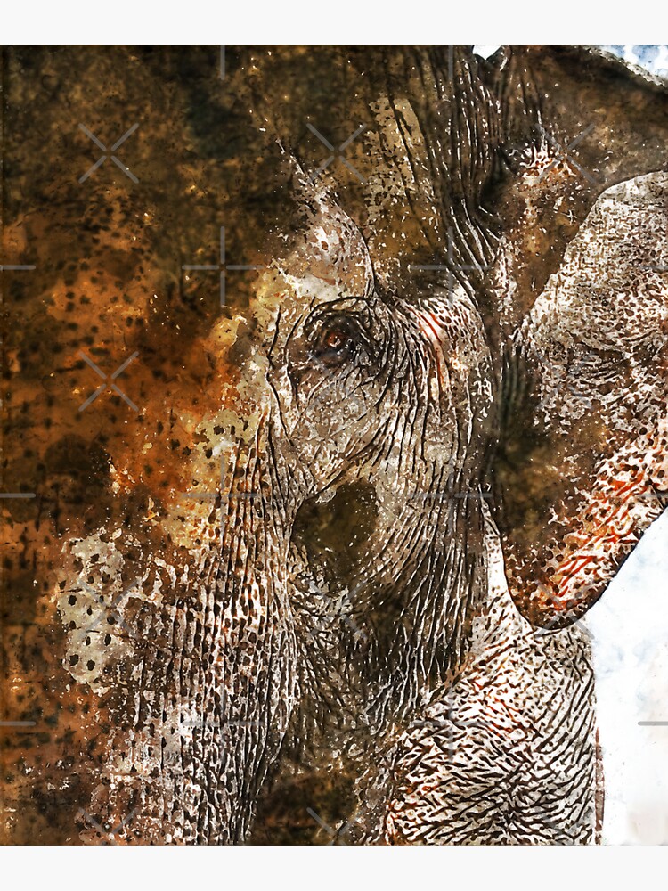 "Watercolor Asian Elephant Elephas Maximus Painting, Elephas Maximus ...