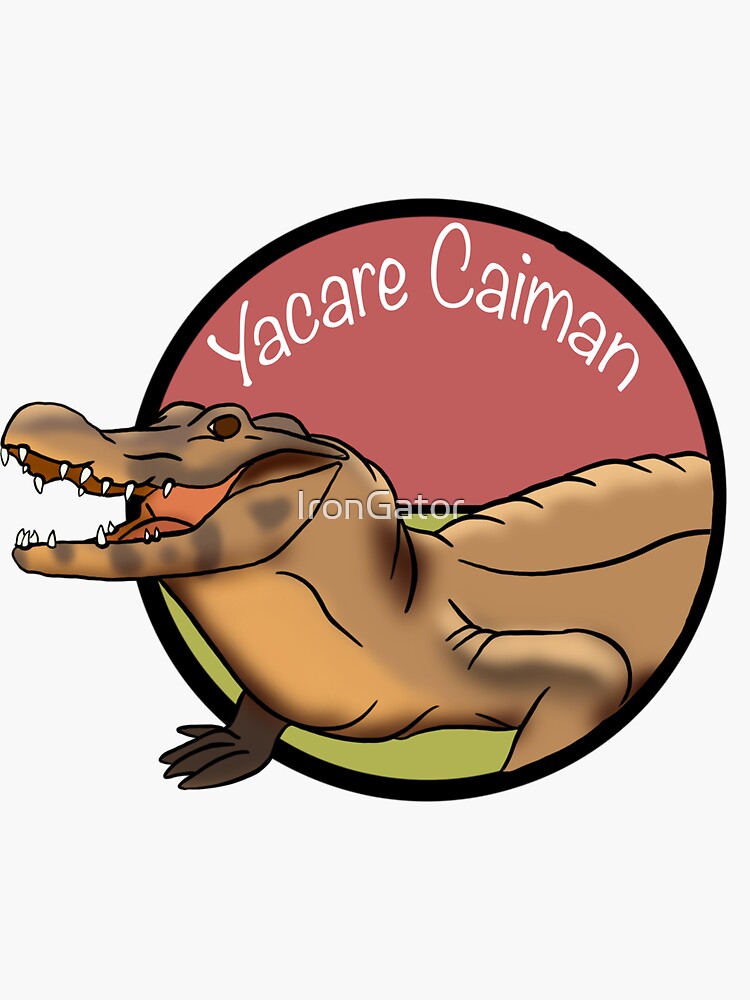 "Yacare Caiman " Sticker for Sale by IronGator | Redbubble
