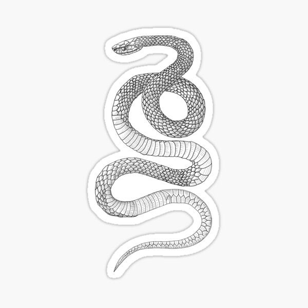 "Smooth Green Snake pen and ink" Sticker for Sale by Drawinism | Redbubble