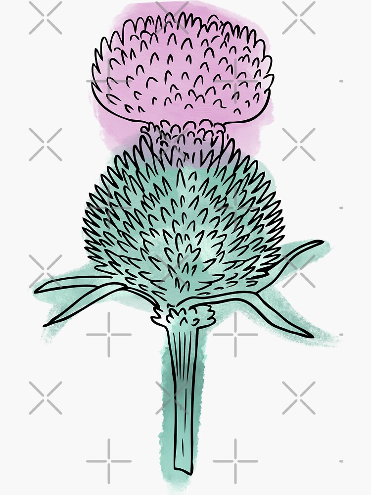 "Watercolor Scottish Thistle" Sticker for Sale by ScotlandBrave | Redbubble