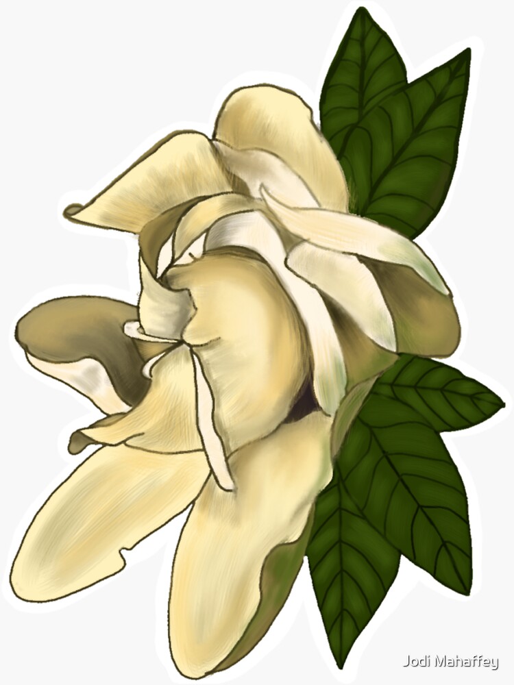 "Gardenia in bloom" Sticker for Sale by JojoDolly | Redbubble