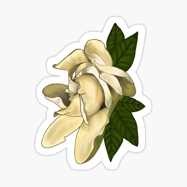 "Gardenia in bloom" Sticker for Sale by JojoDolly | Redbubble