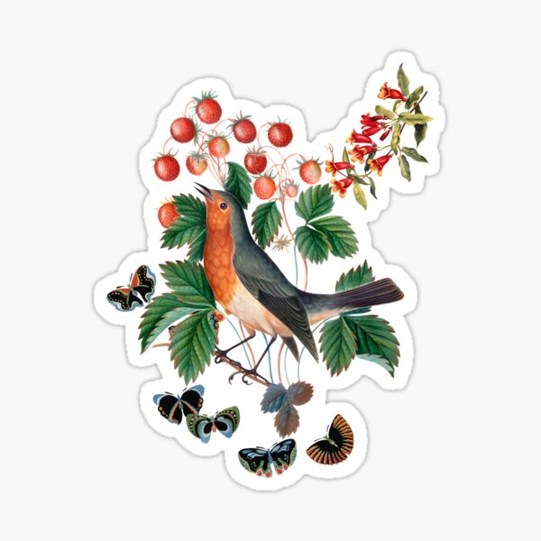 "Singing Robin Colorful Eco-Friendly Design" Sticker for Sale by ...