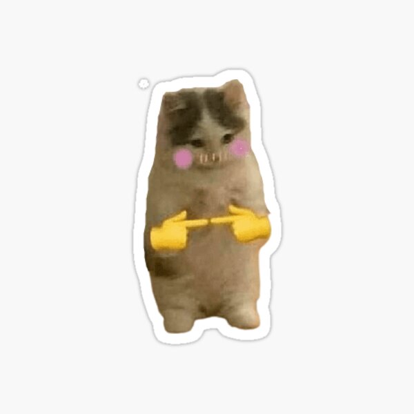 "Cute cat meme" Sticker for Sale by SkortStickers | Redbubble