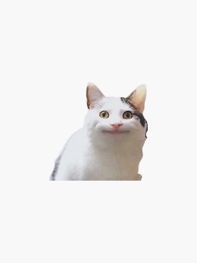 "Funny cat meme sticker" Sticker for Sale by SkortStickers | Redbubble