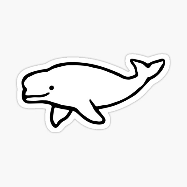"Beluga Whale" Sticker for Sale by Biochao | Redbubble