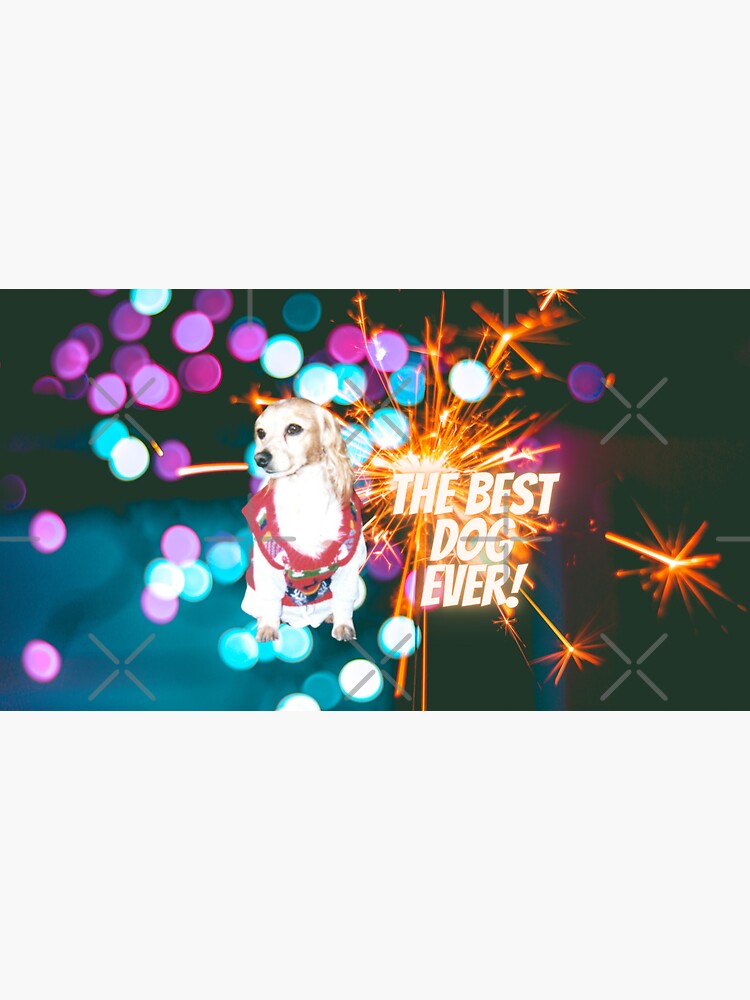 "Best Dog Ever Meme" Sticker for Sale by Cute-Mug | Redbubble