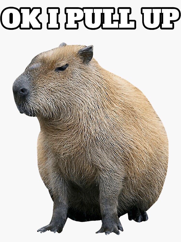 "Ok I Pull Up Capybara" Sticker for Sale by GunillaBlau | Redbubble