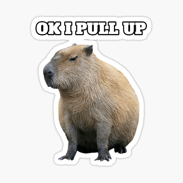 "Ok I Pull Up Capybara" Sticker for Sale by GunillaBlau | Redbubble