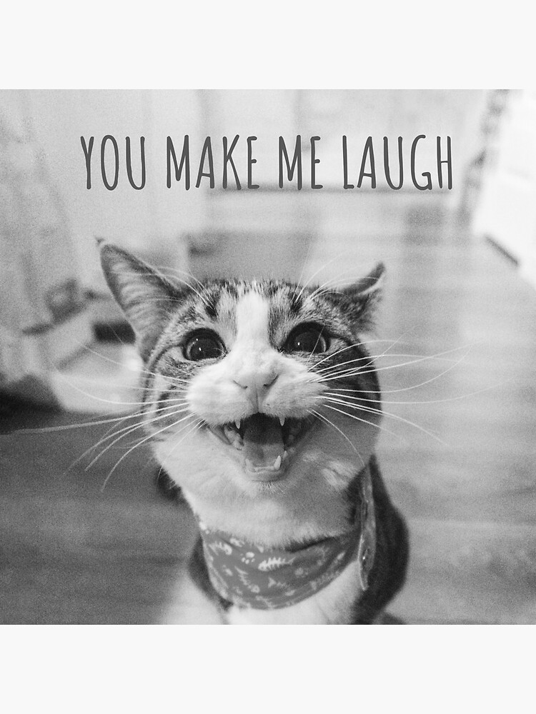 "You Make Me Laugh, Cat Meme" Sticker for Sale by SevillaAnimals | Redbubble