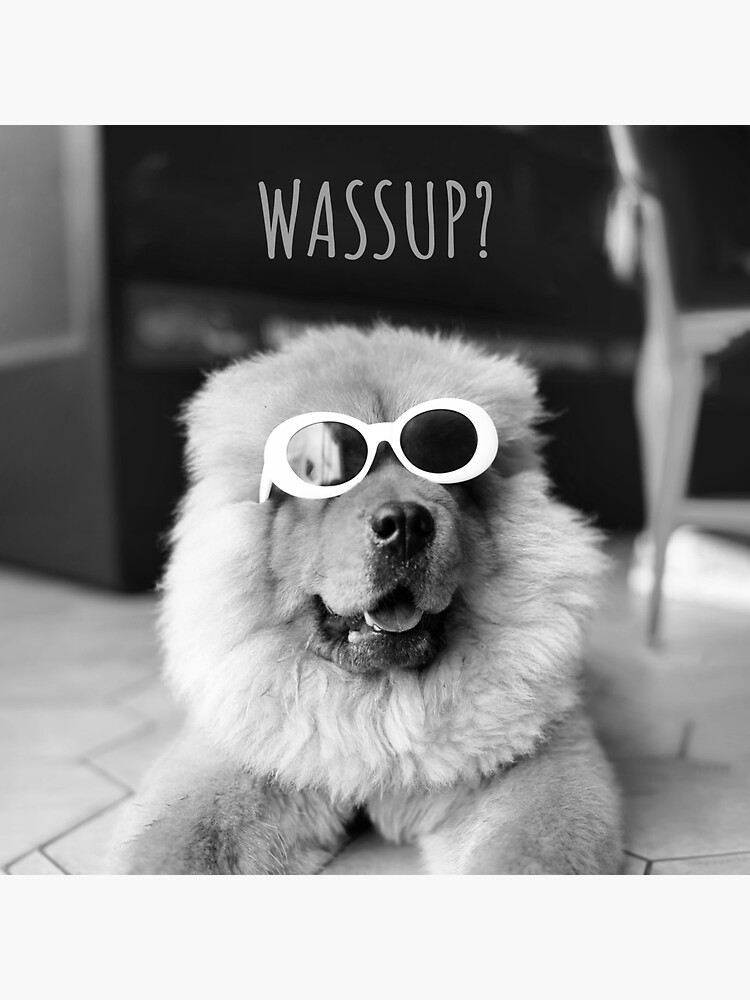 "Wassup, Dog Meme" Sticker for Sale by SevillaAnimals | Redbubble