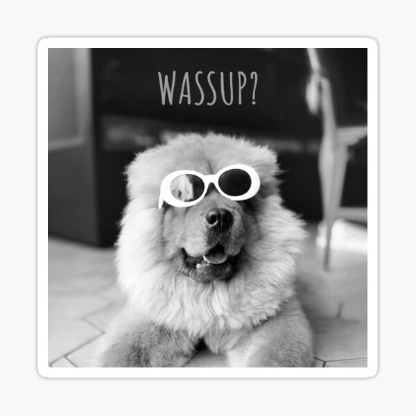 "Wassup, Dog Meme" Sticker for Sale by SevillaAnimals | Redbubble