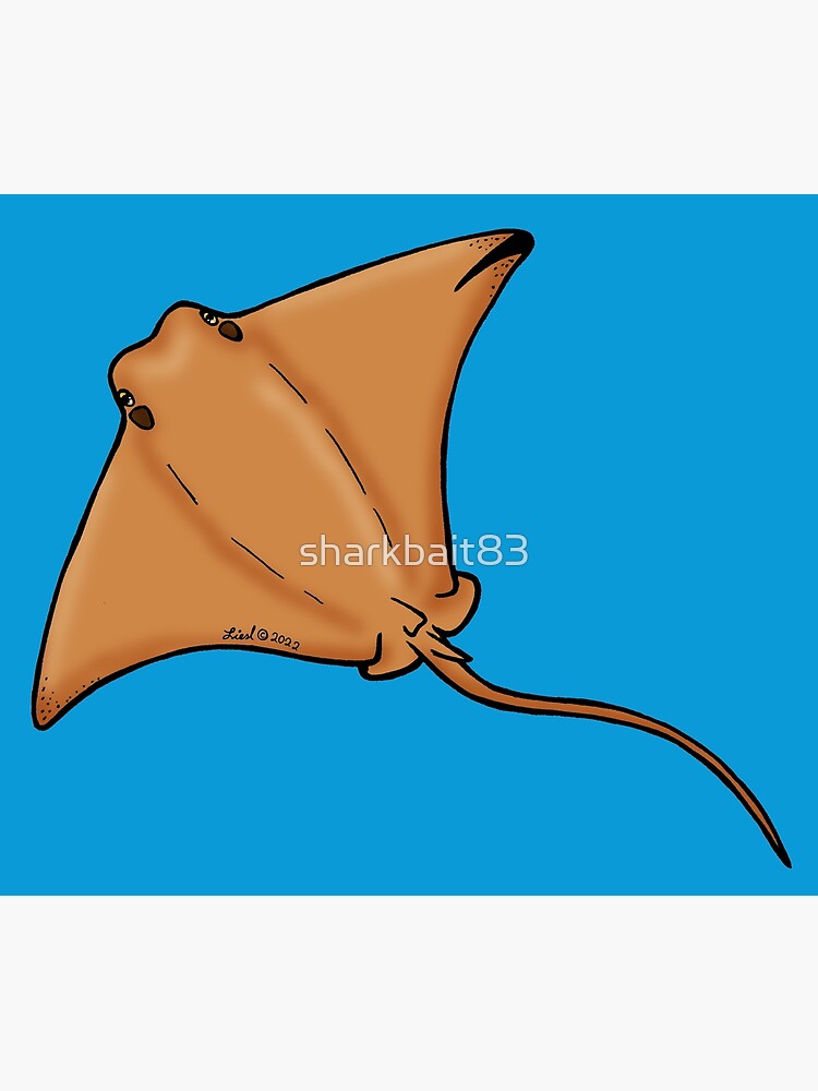 "Cownose Ray" Poster for Sale by sharkbait83 | Redbubble