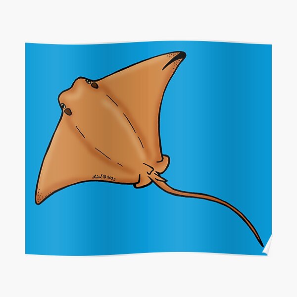 "Cownose Ray" Poster for Sale by sharkbait83 | Redbubble