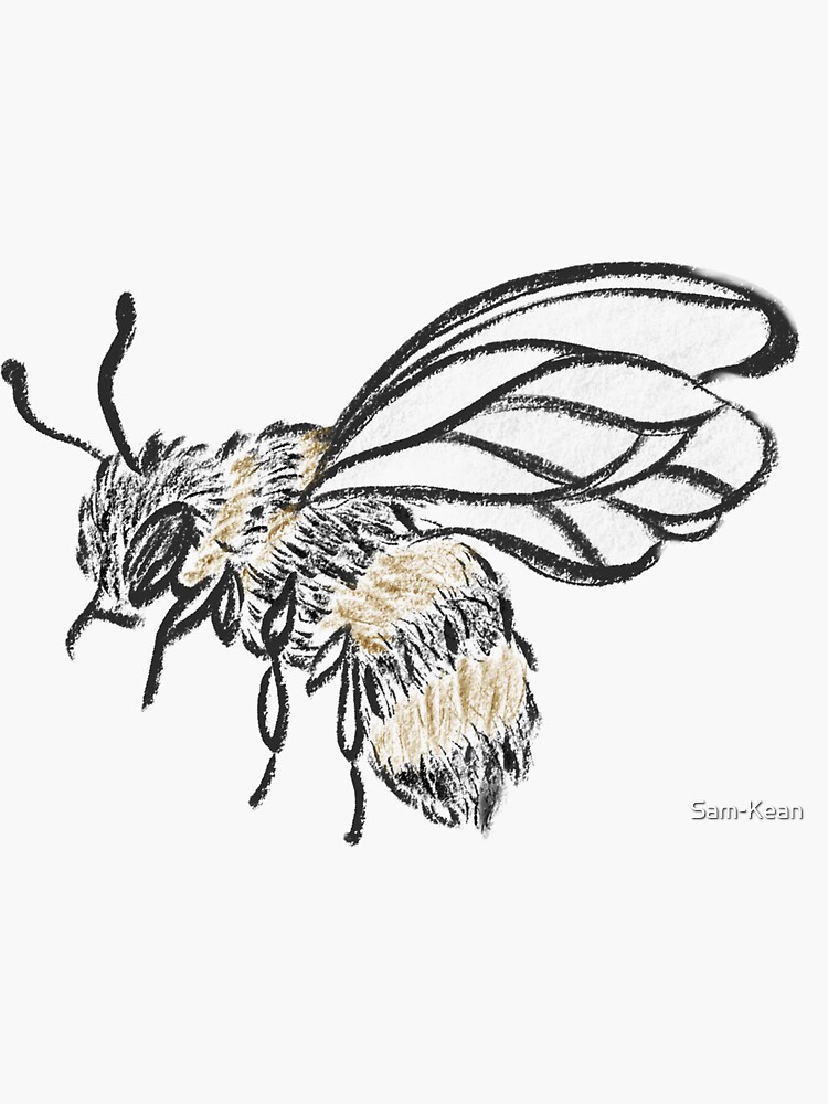 "Bumblebee Sketch Drawing" Sticker for Sale by Sam-Kean | Redbubble