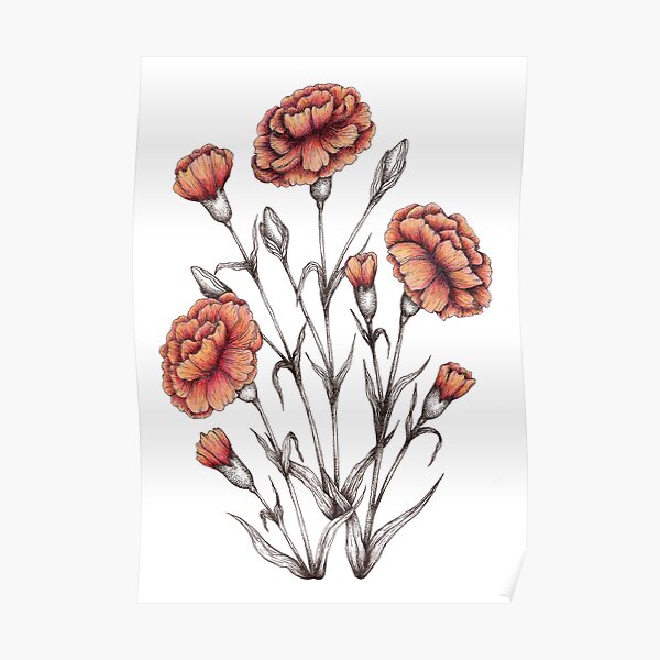 "Coral Carnations" Poster for Sale by floralines | Redbubble