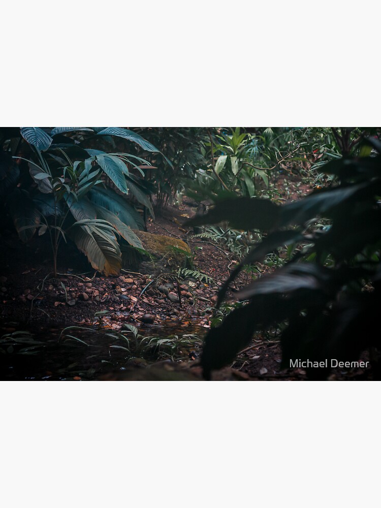 "Mist rising in the tropical garden" Sticker for Sale by MDPhotos ...