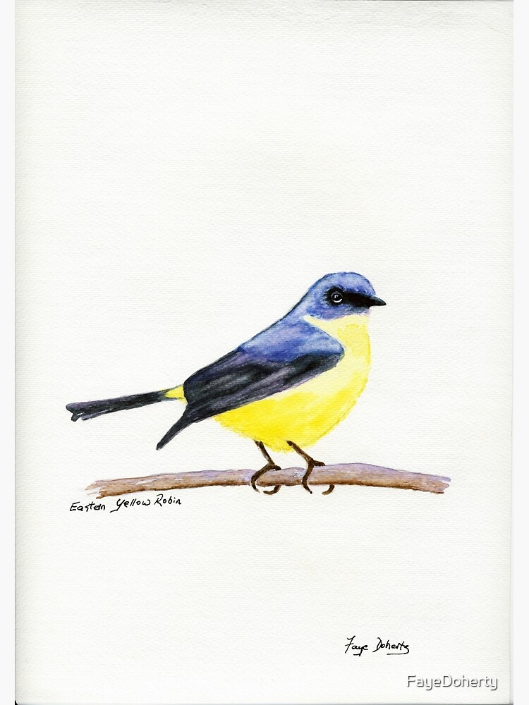 "Eastern Yellow Robin" Poster for Sale by FayeDoherty | Redbubble