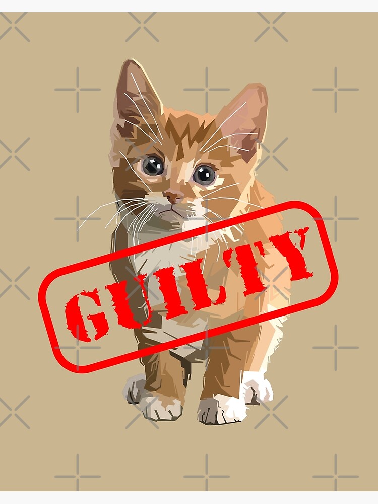 Meme De Gatito Culpable