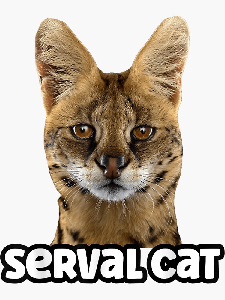 "Serval Wild Cat Sarcastic Serval Cat " Sticker for Sale by ...