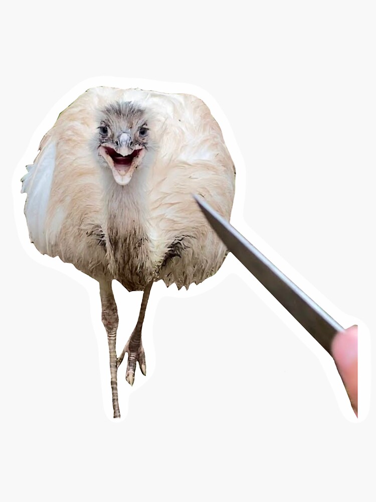 "Kevin the Rhea " Sticker for Sale by BertoldKitzmann | Redbubble