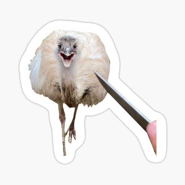 "Kevin the Rhea " Sticker for Sale by BertoldKitzmann | Redbubble