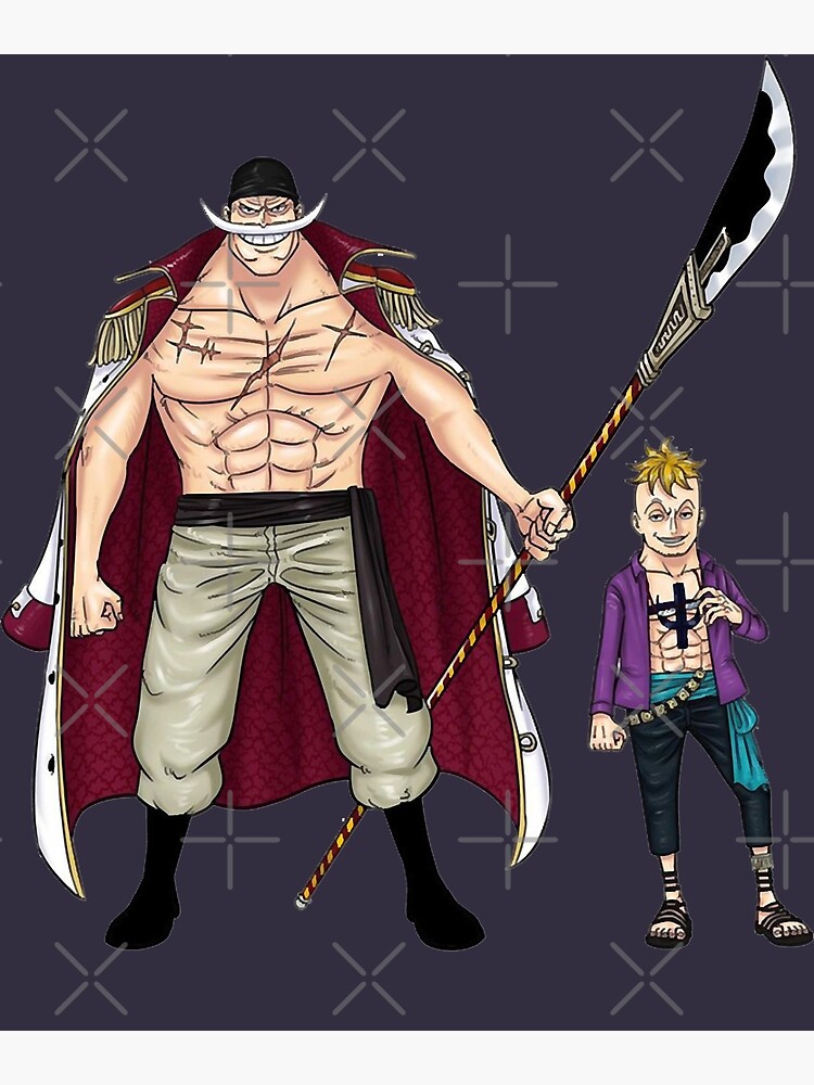"Erwecken Sie die Liebe des Meeres One Piece Edward Newgate und Marco ...