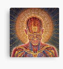 Alex Grey: Canvas Prints | Redbubble