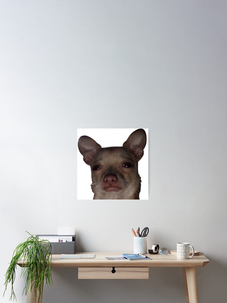 "Sad Dog Meme" Poster for Sale by AngelRoot | Redbubble
